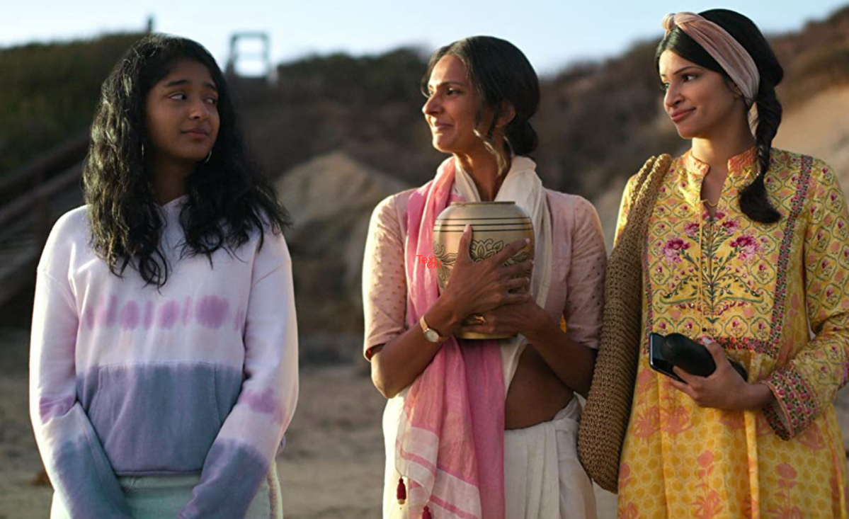 Watching and Waiting: The Slow Rise of South Asian Representation on ...